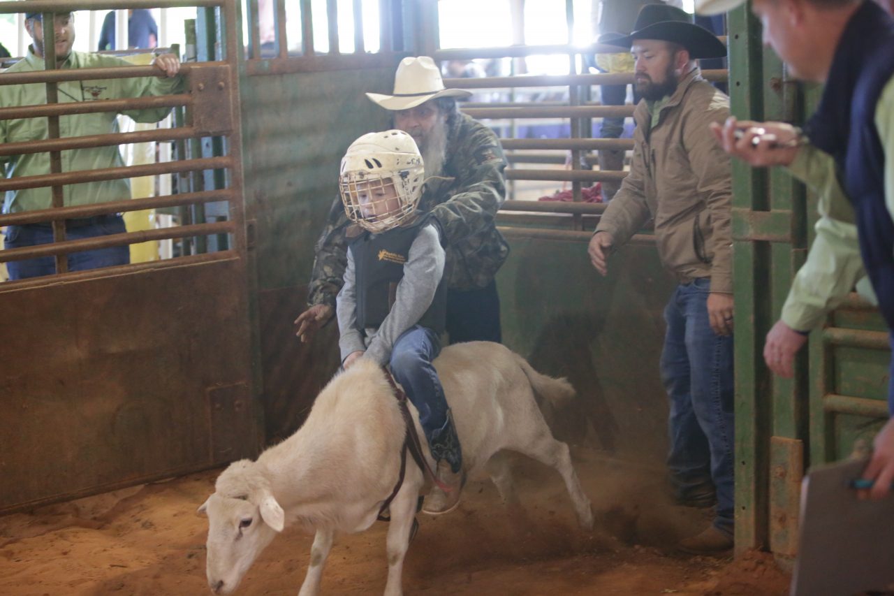 Ram Riders - Just A Lil Rodeo